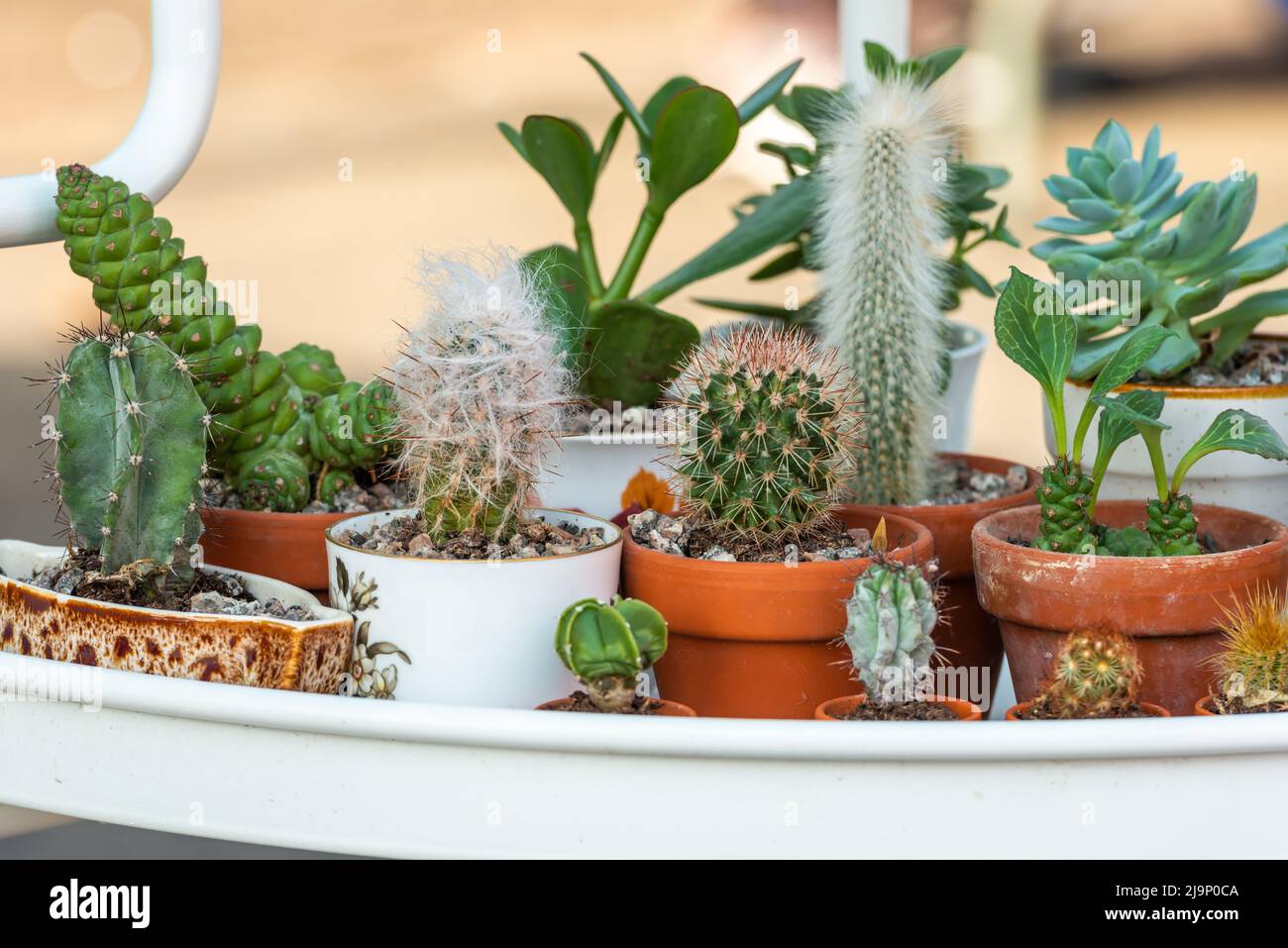 London, Penge, United Kingdom - April 30, 2022: Maple Road Market (a ...