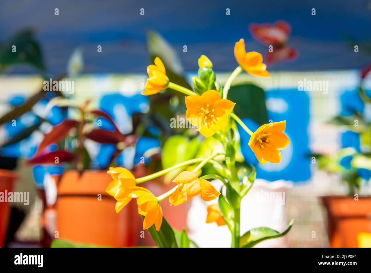 London, Penge, United Kingdom - April 30, 2022: Maple Road Market (a ...