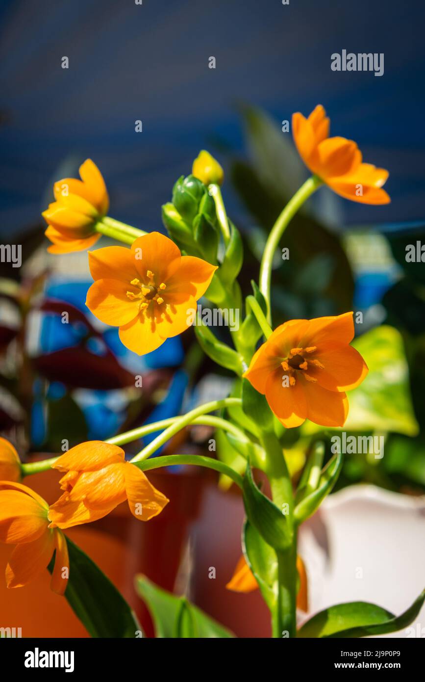 London, Penge, United Kingdom - April 30, 2022: Maple Road Market (a ...