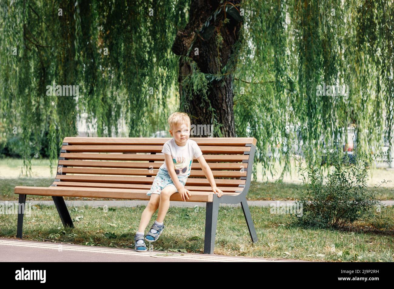A cute boy is sitting on a bench in the park under a big green tree and ...
