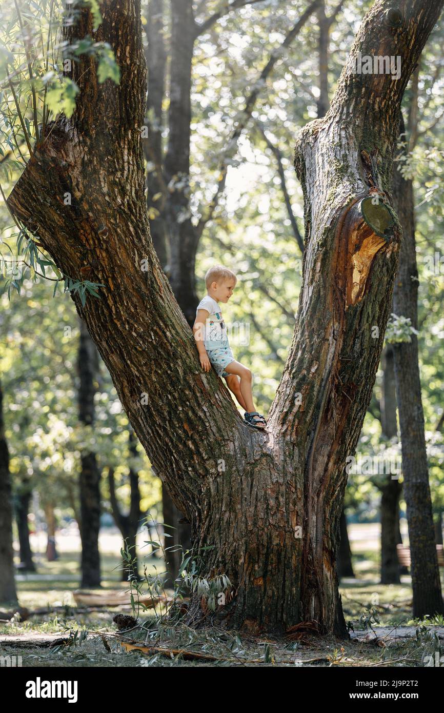 A cute Caucasian boy is happily standing in a tree on a big branch ...