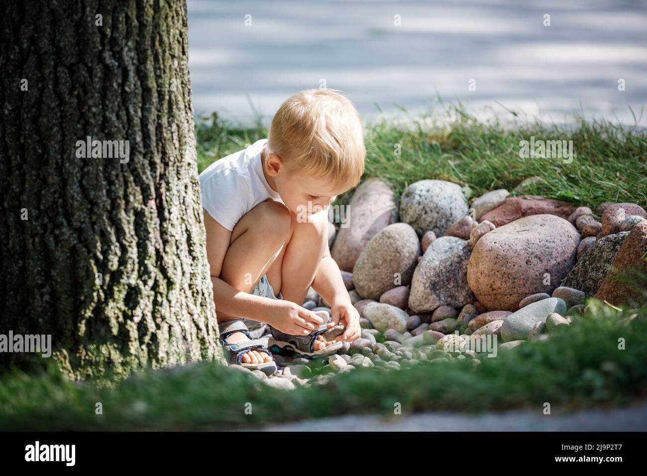 Little boy collecting stones in park. Outdoor creative activities for ...