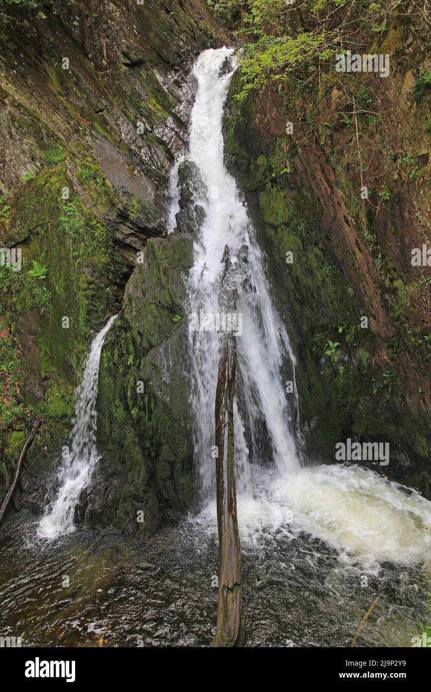 Devil's bridge mynach falls hi-res stock photography and images - Alamy