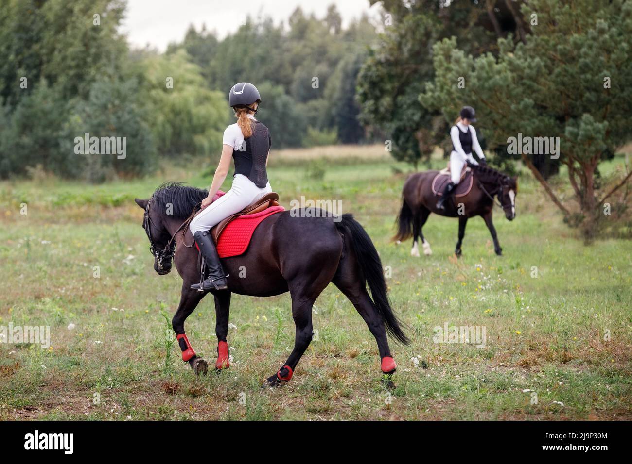 Two Jockey girl doing horse riding on countryside meadow. Horse riding ...