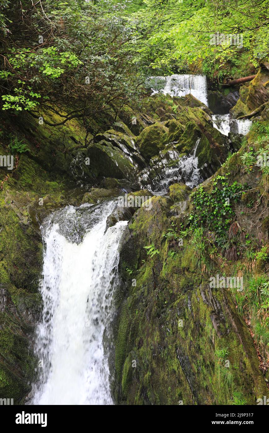 Devil's bridge falls hi-res stock photography and images - Alamy