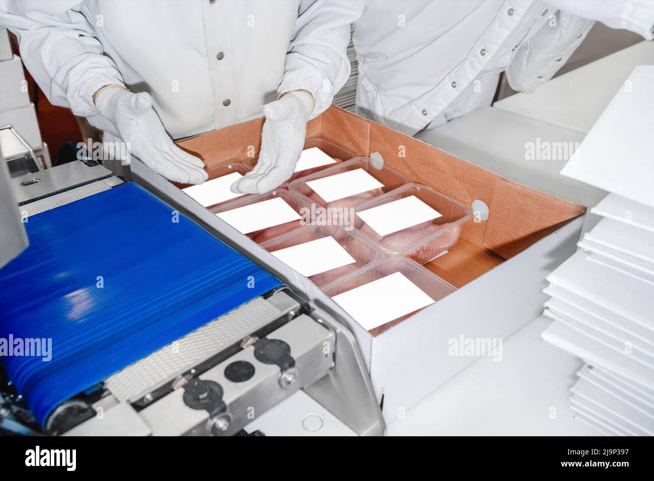 Production process, packaging on the conveyor line of meat in boxes ...