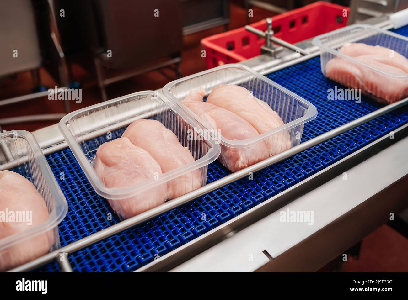 A modern plant.Factory production food from meat. Production line with ...