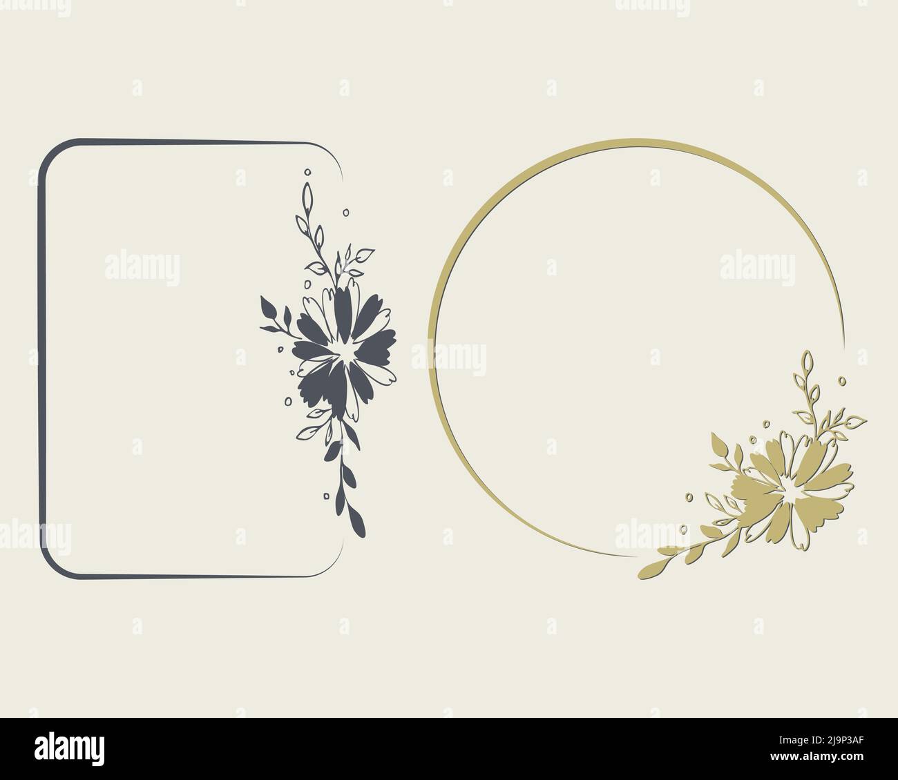 Floral chamomile frame outline set. Hand drawn decorative daisy borders ...