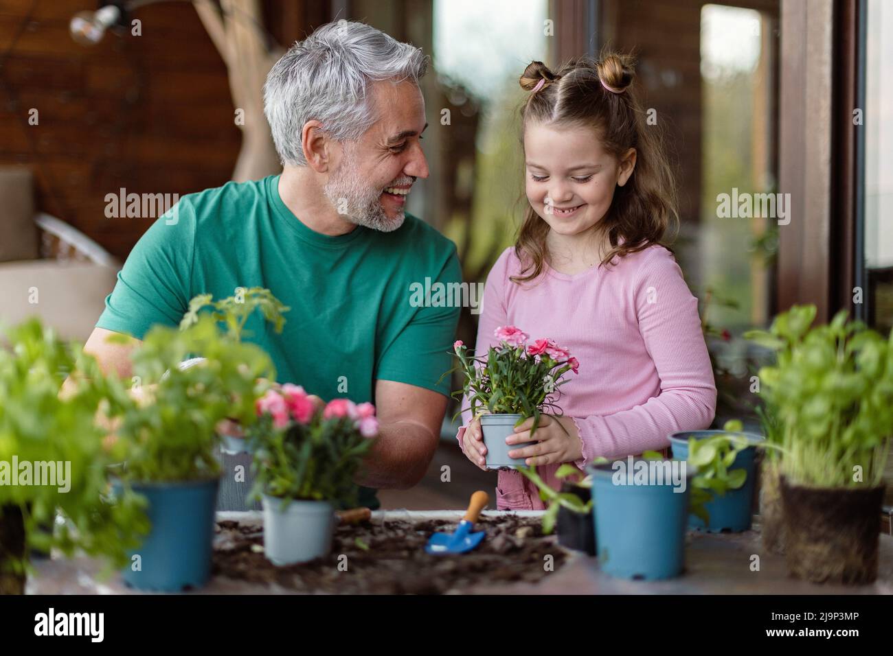 Little daughter helping father to plant flowers, home gardening concept ...
