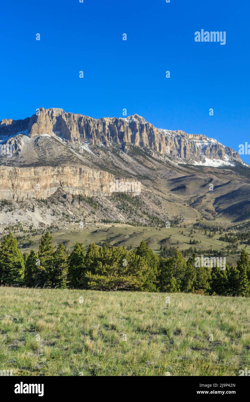 castle reef along the rocky mountain front near choteau, montana Stock ...
