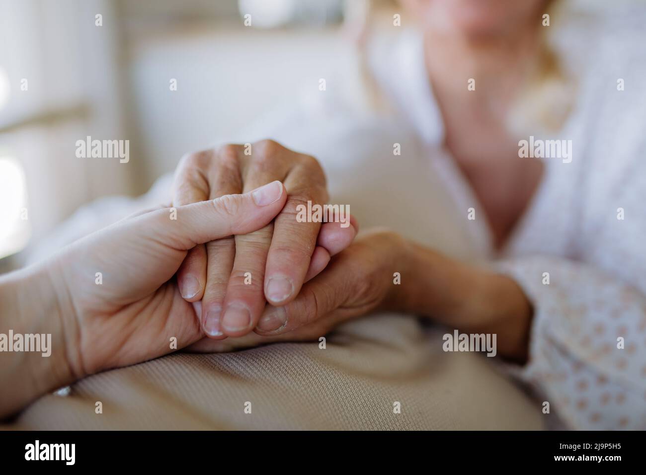 Close up caring grown up daughter holds mother hand provides ...