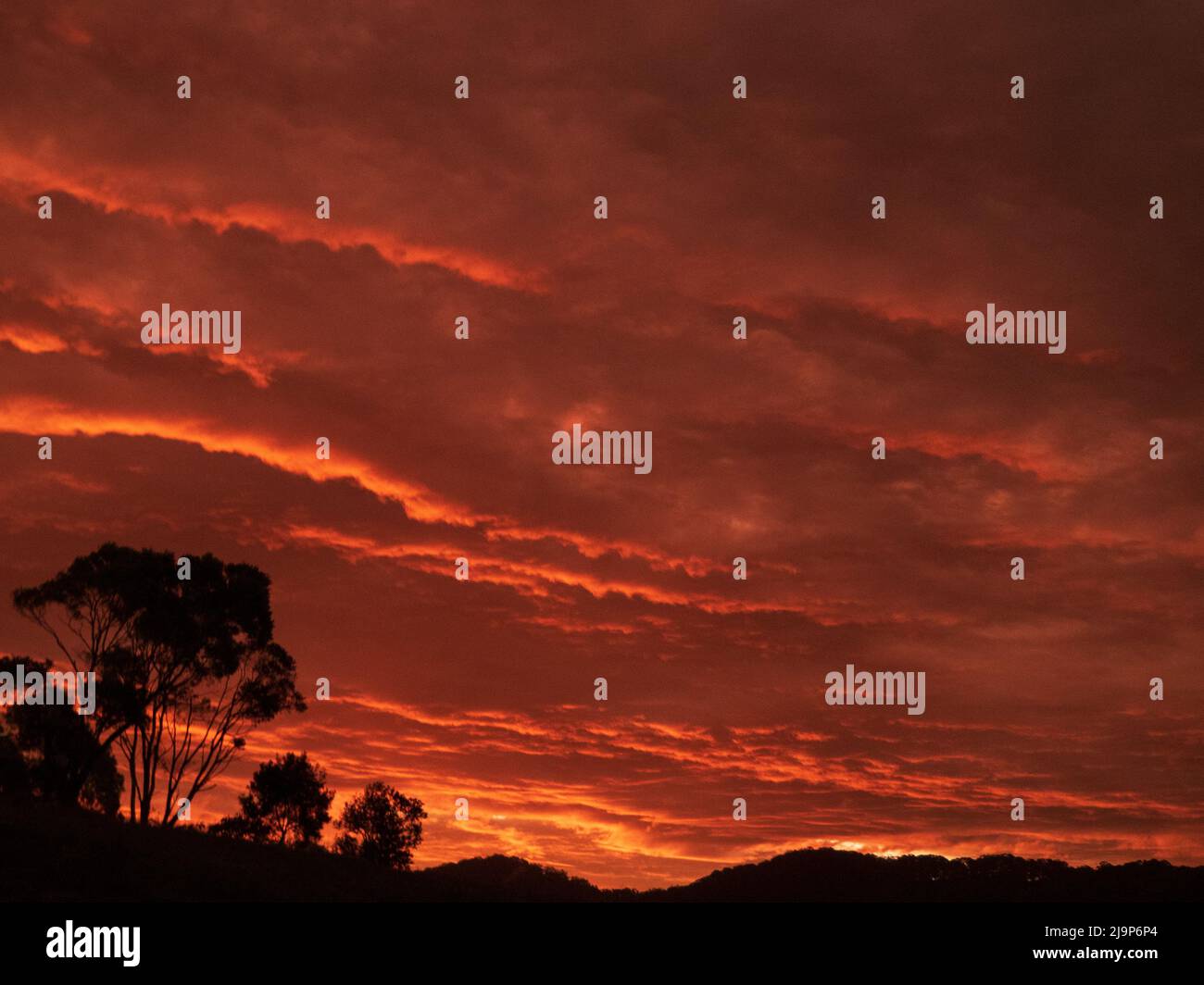 Red Orange sunset, blanket of glowing clouds, like the sky’s on fire ...