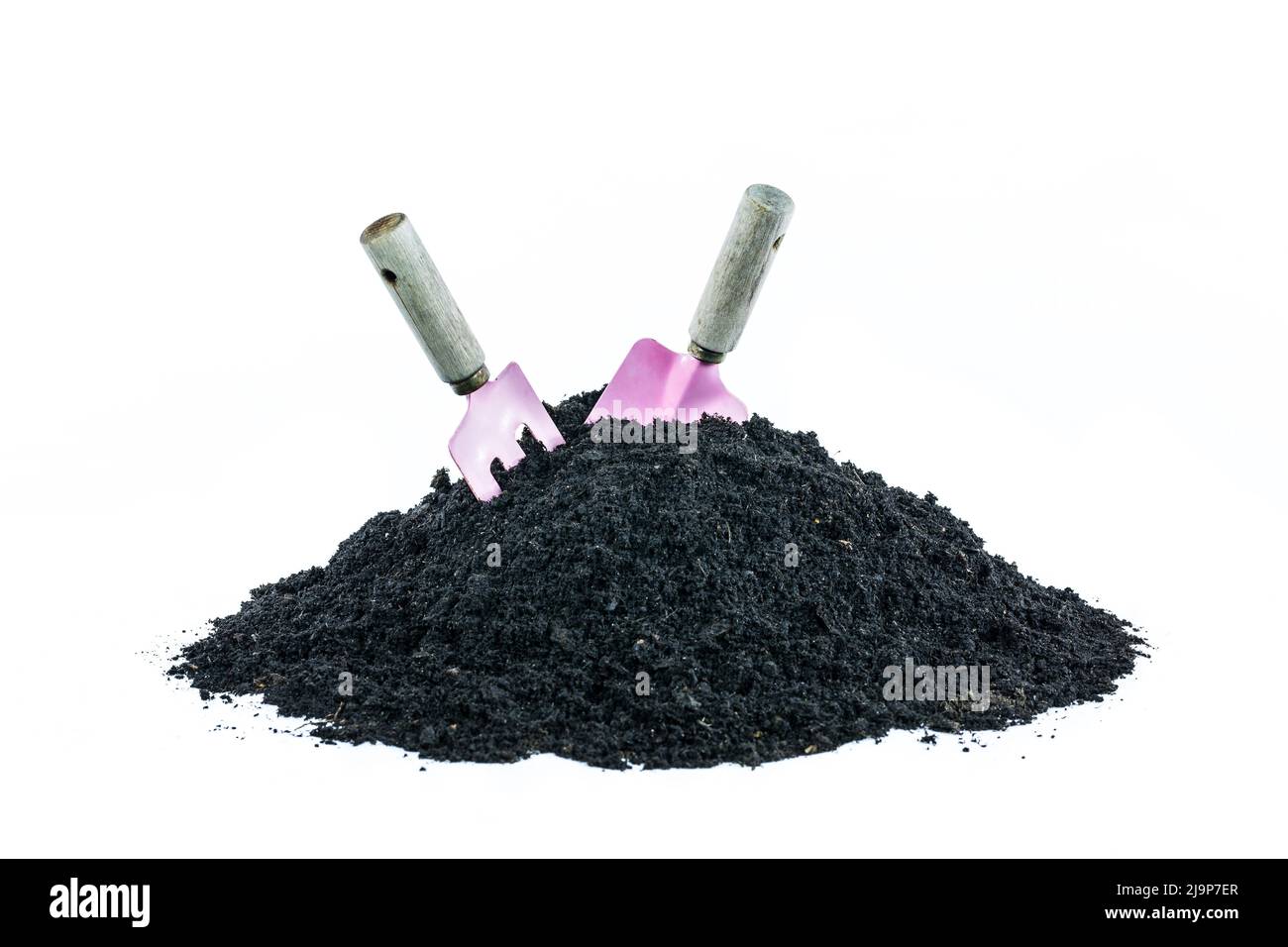 Pink trowel and fork with wooden handles, pushed into a pile of soil ...