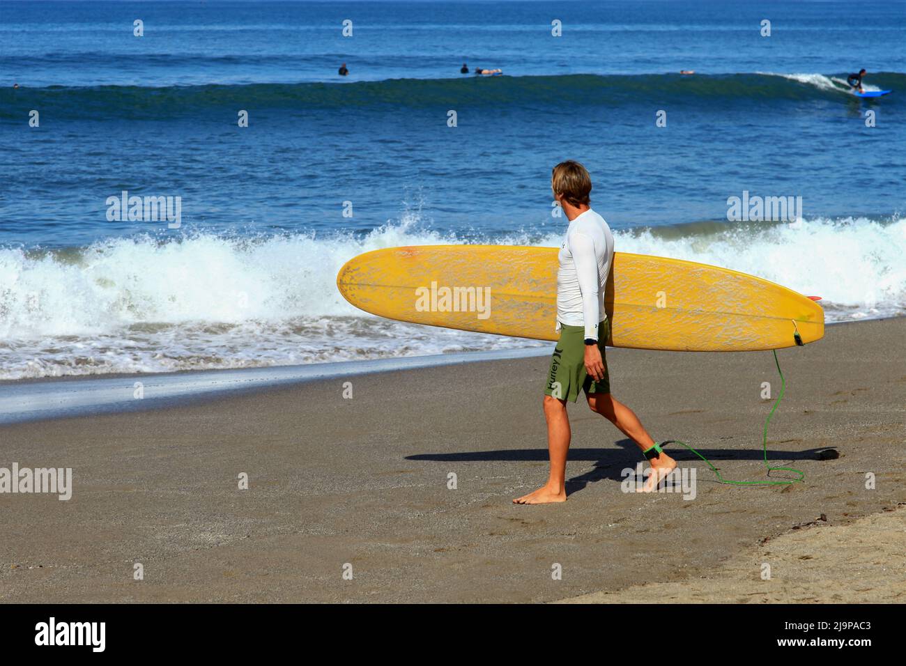 A young blonde Caucasian surfer carrying a yellow longboard surfboard ...
