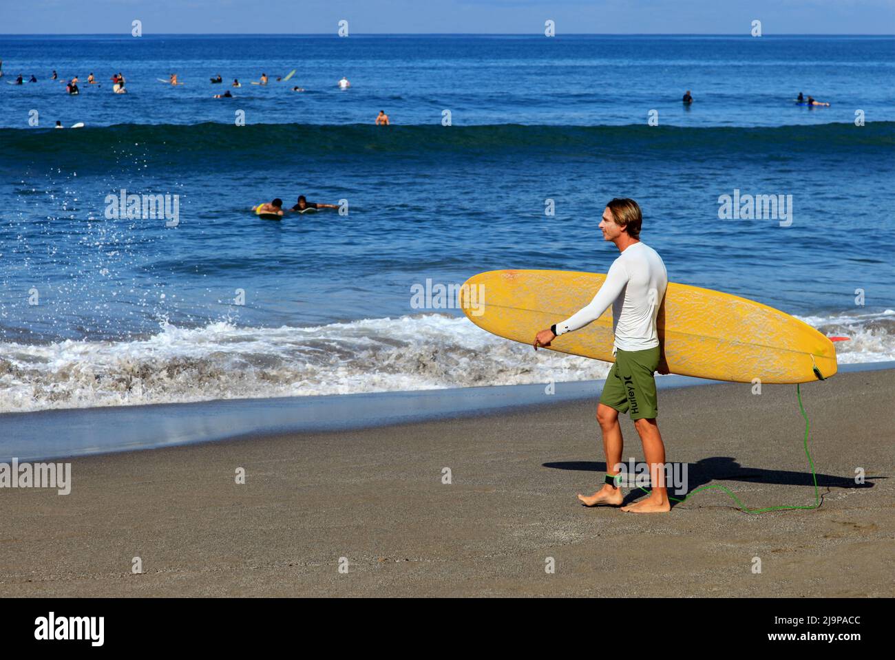 A young blonde Caucasian surfer carrying a yellow longboard surfboard ...