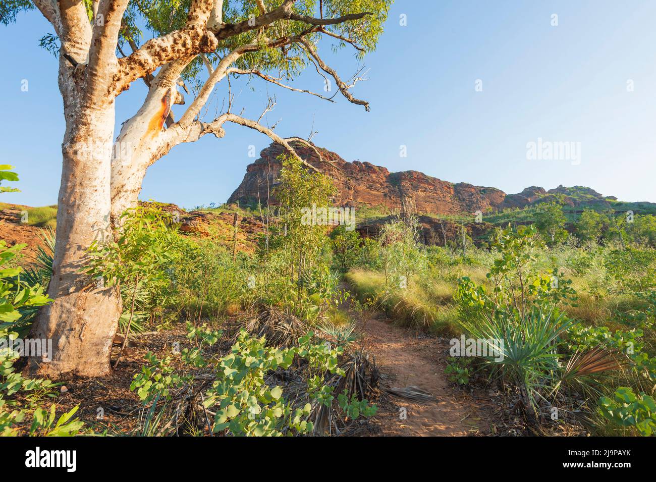 Walking trail through scenic Keep River National Park, a popular ...