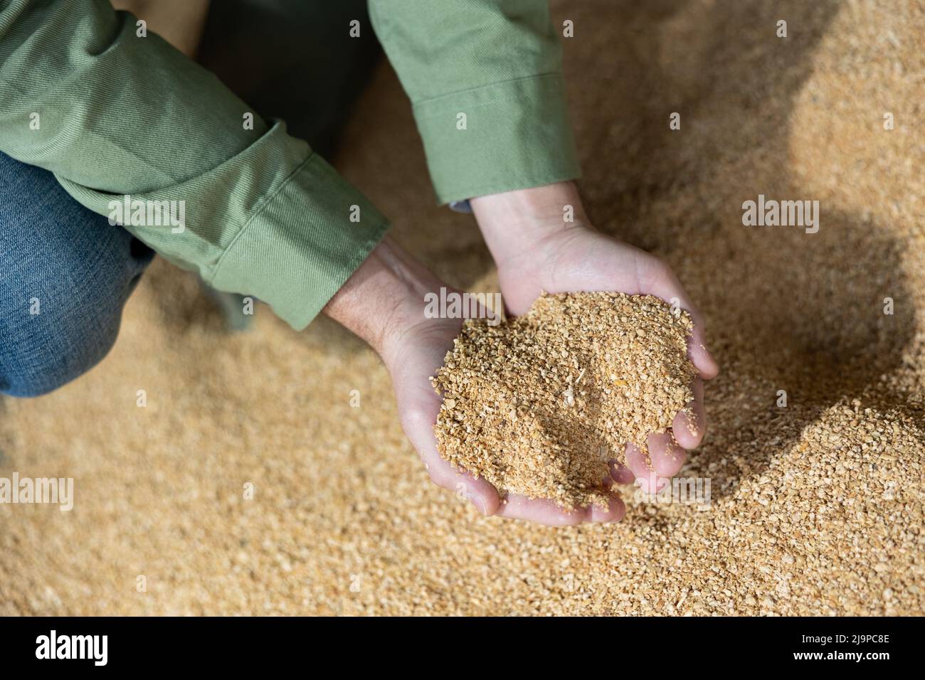 Soybean husk animal feed in farmers hands Stock Photo - Alamy