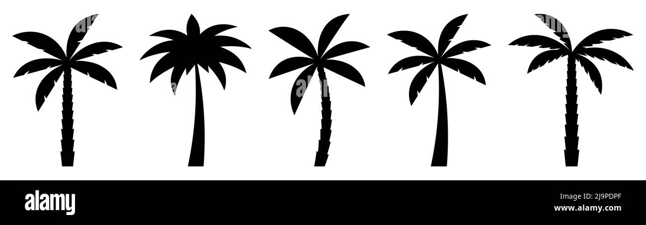 Palm icons set. Vector illustration isolated on white background Stock ...