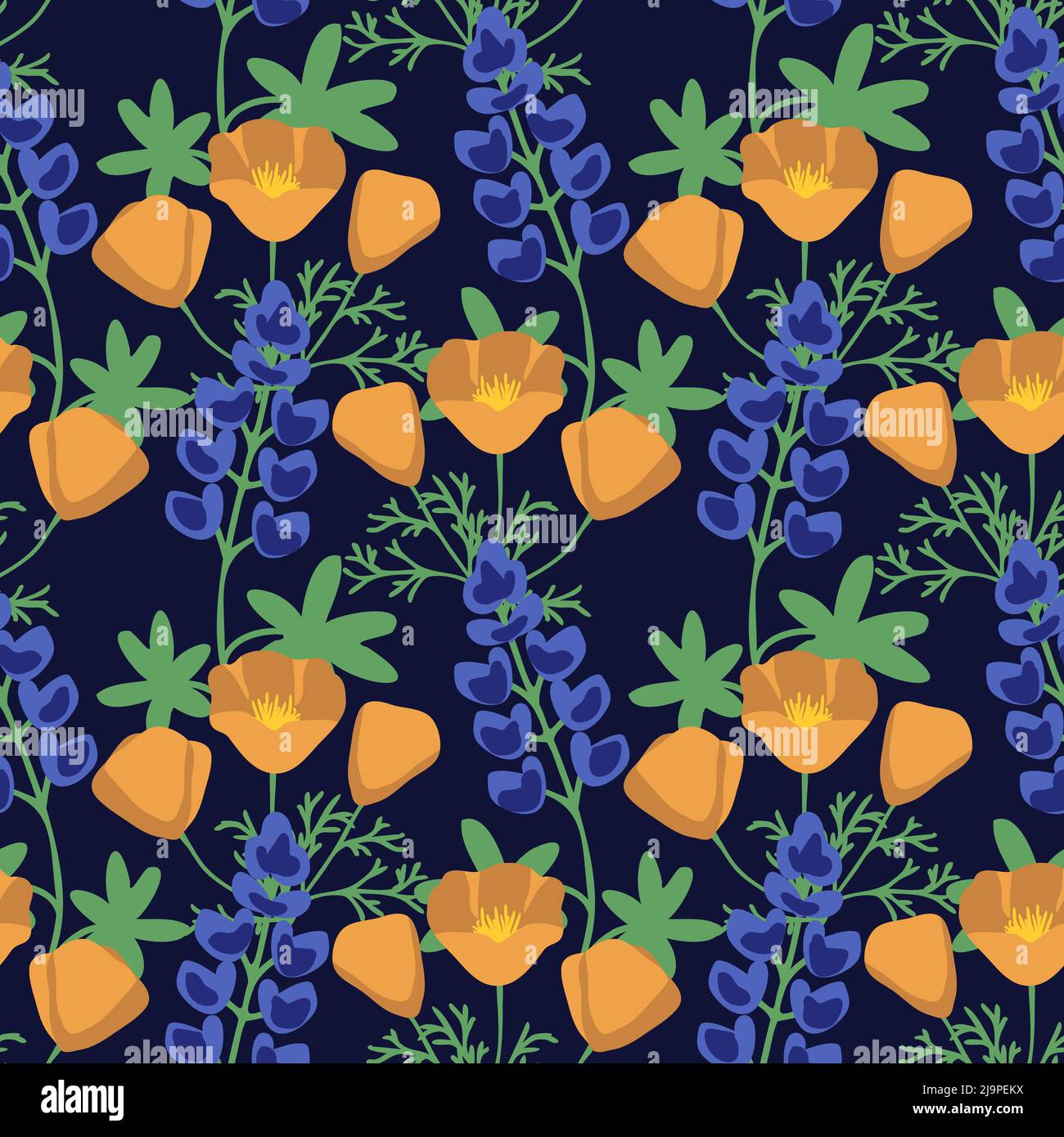 Lupin vector vectors hi-res stock photography and images - Alamy
