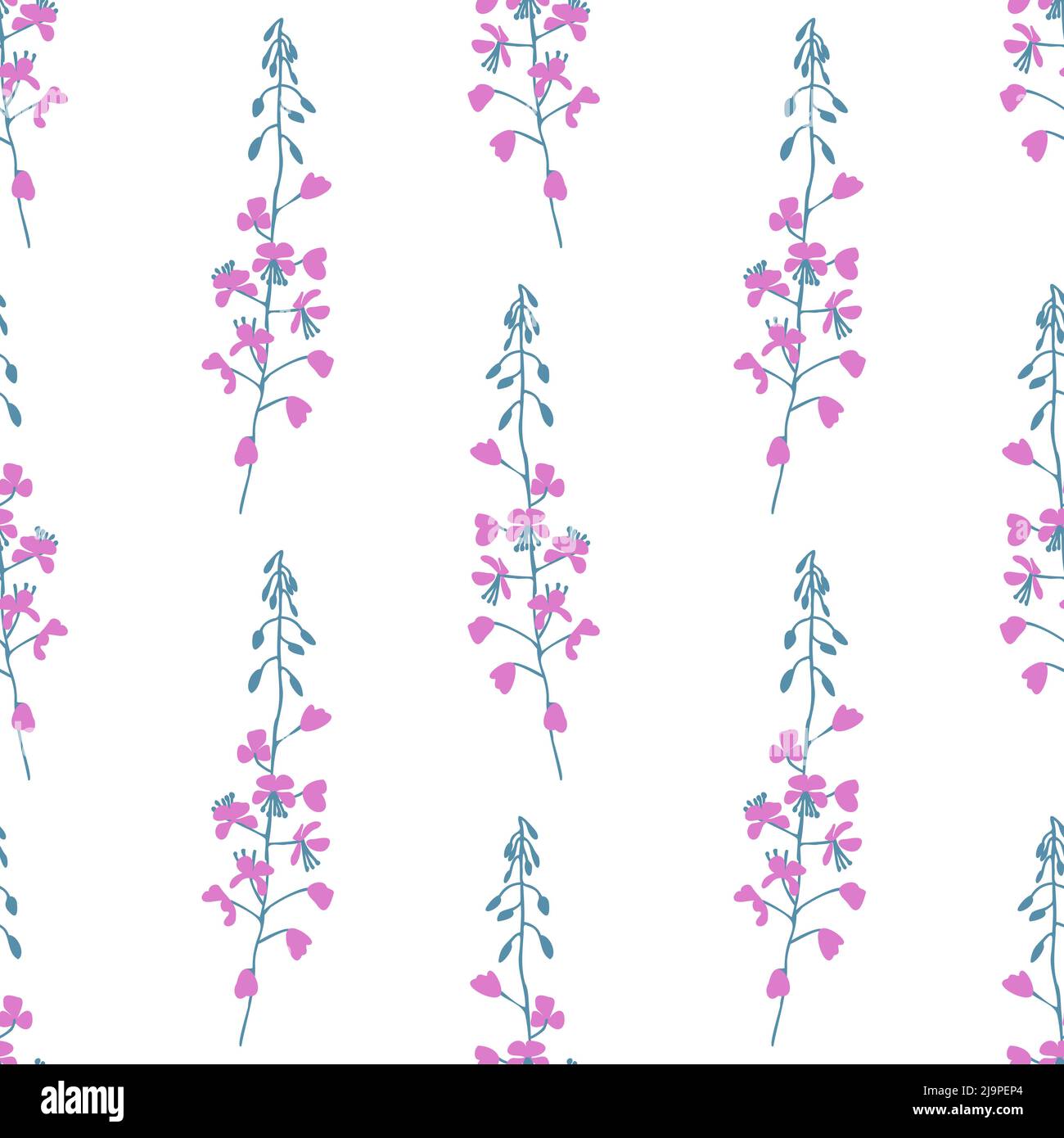 Fireweed vector vectors hi-res stock photography and images - Alamy