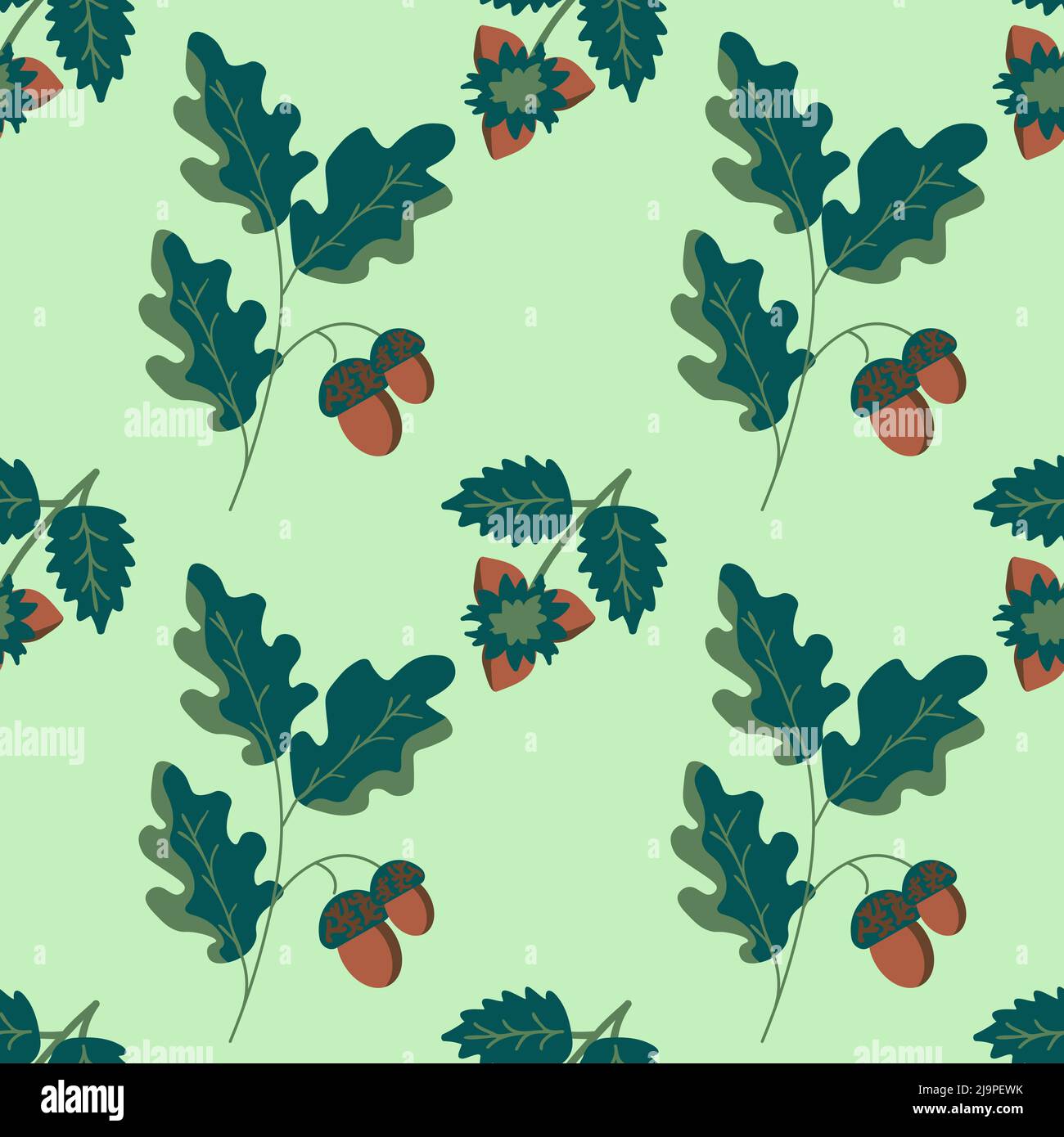 Hazelnut tree leaf Stock Vector Images - Alamy