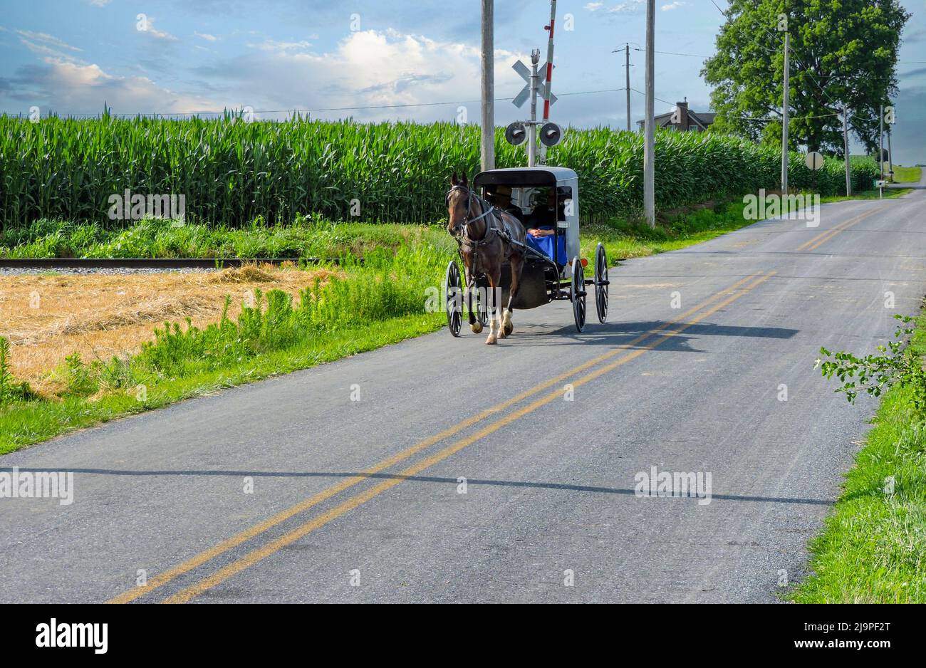 An Amish Horse and Buggy Traveling on a Country Road after Crossing a ...
