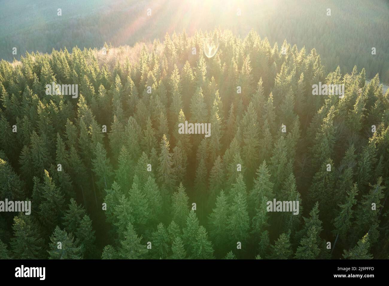Aerial view of amazing scenery with light beams shining through foggy ...