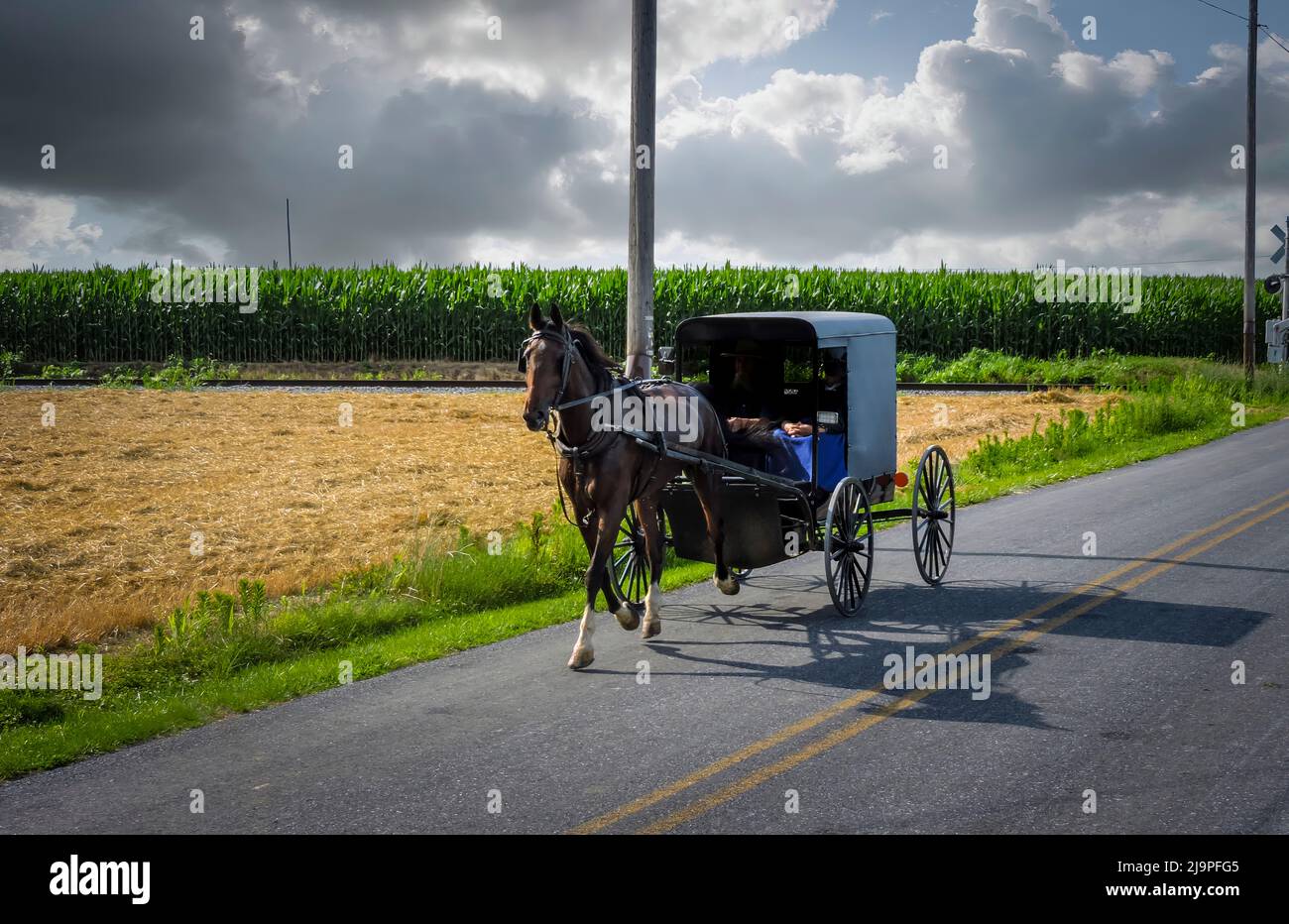 Amish horse drawn buggy wagon hi-res stock photography and images - Alamy