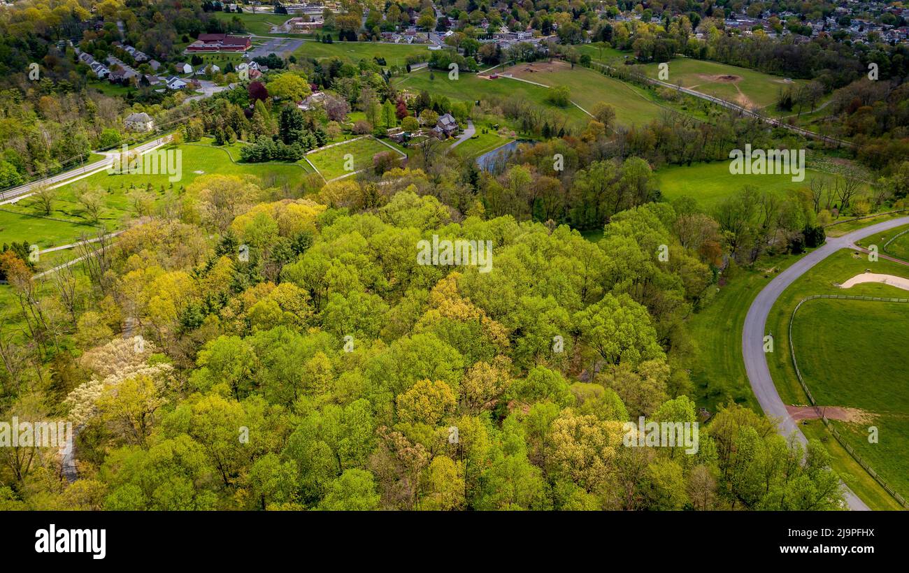 Aerial View of Springtime Trees With a Single Old Railroad Track Going ...