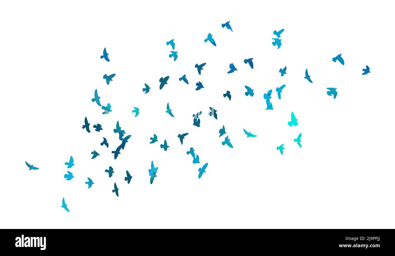 A flock of blue birds. Vector illustration Stock Vector Image & Art - Alamy