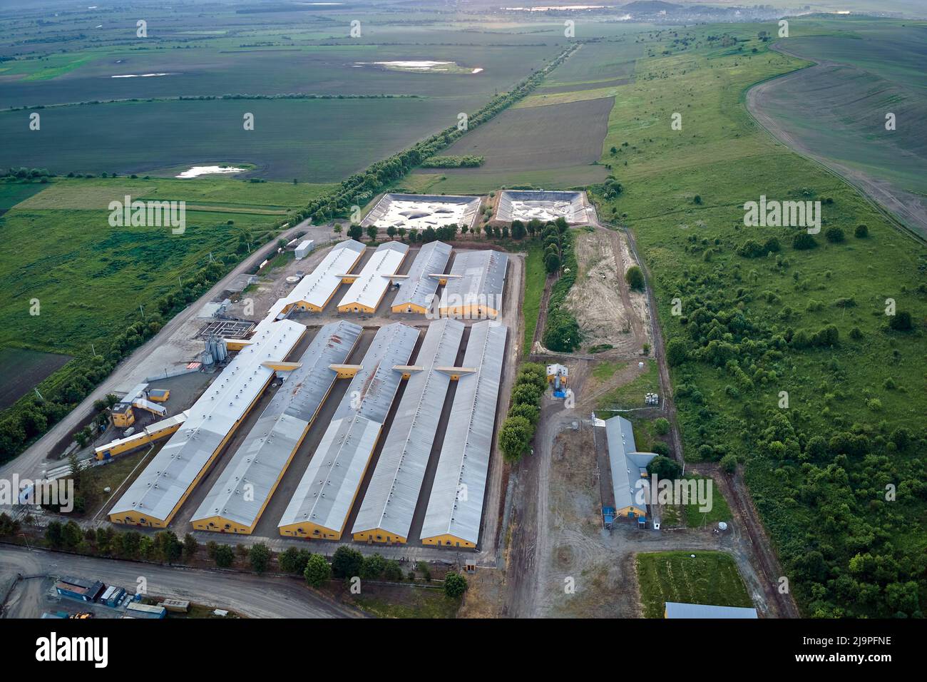 Aerial view of cattle farm buildings between green farmlands Stock ...