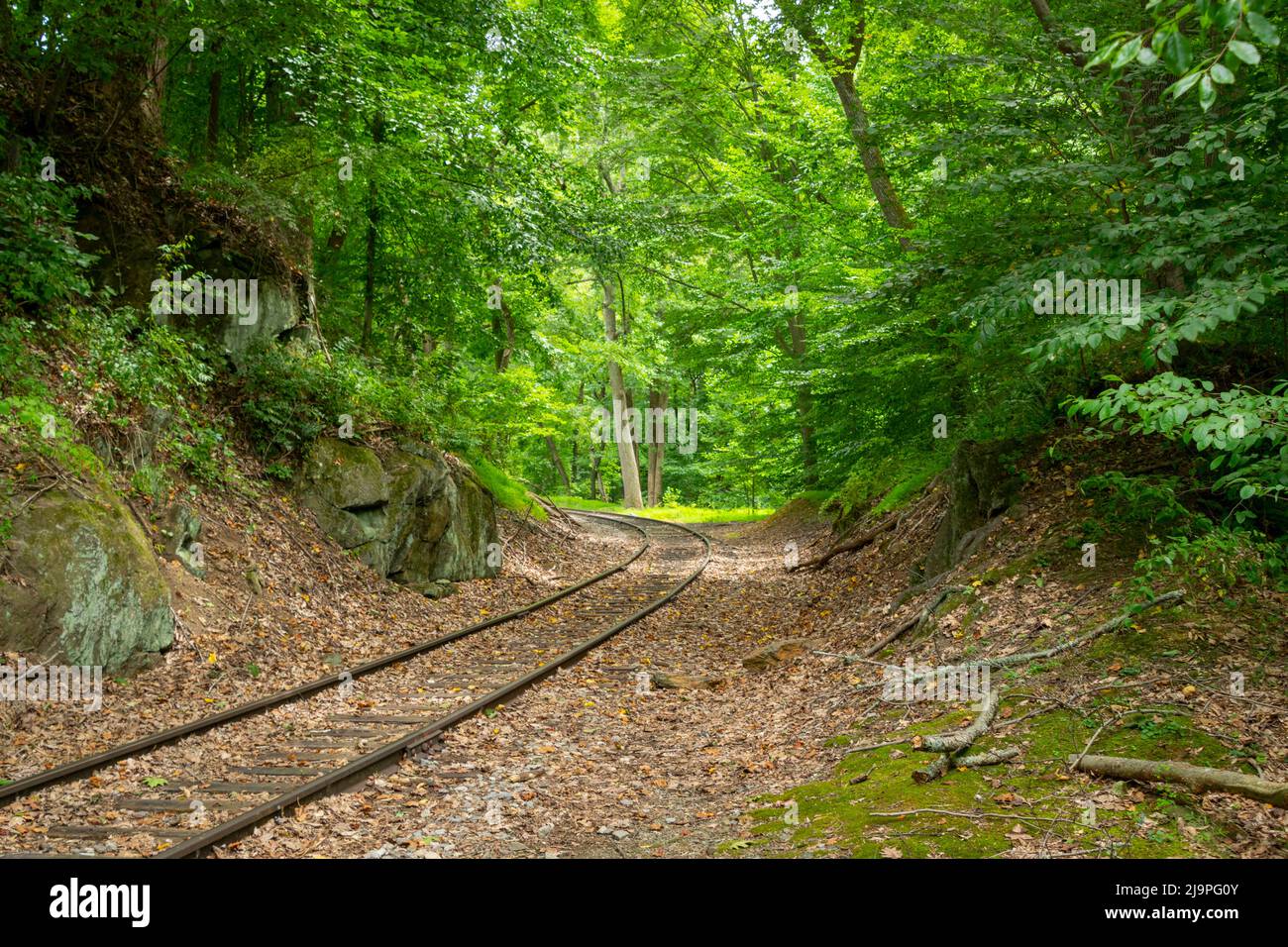 View of a Single Railroad Track Rounding a Curve in the Middle of a Cut ...