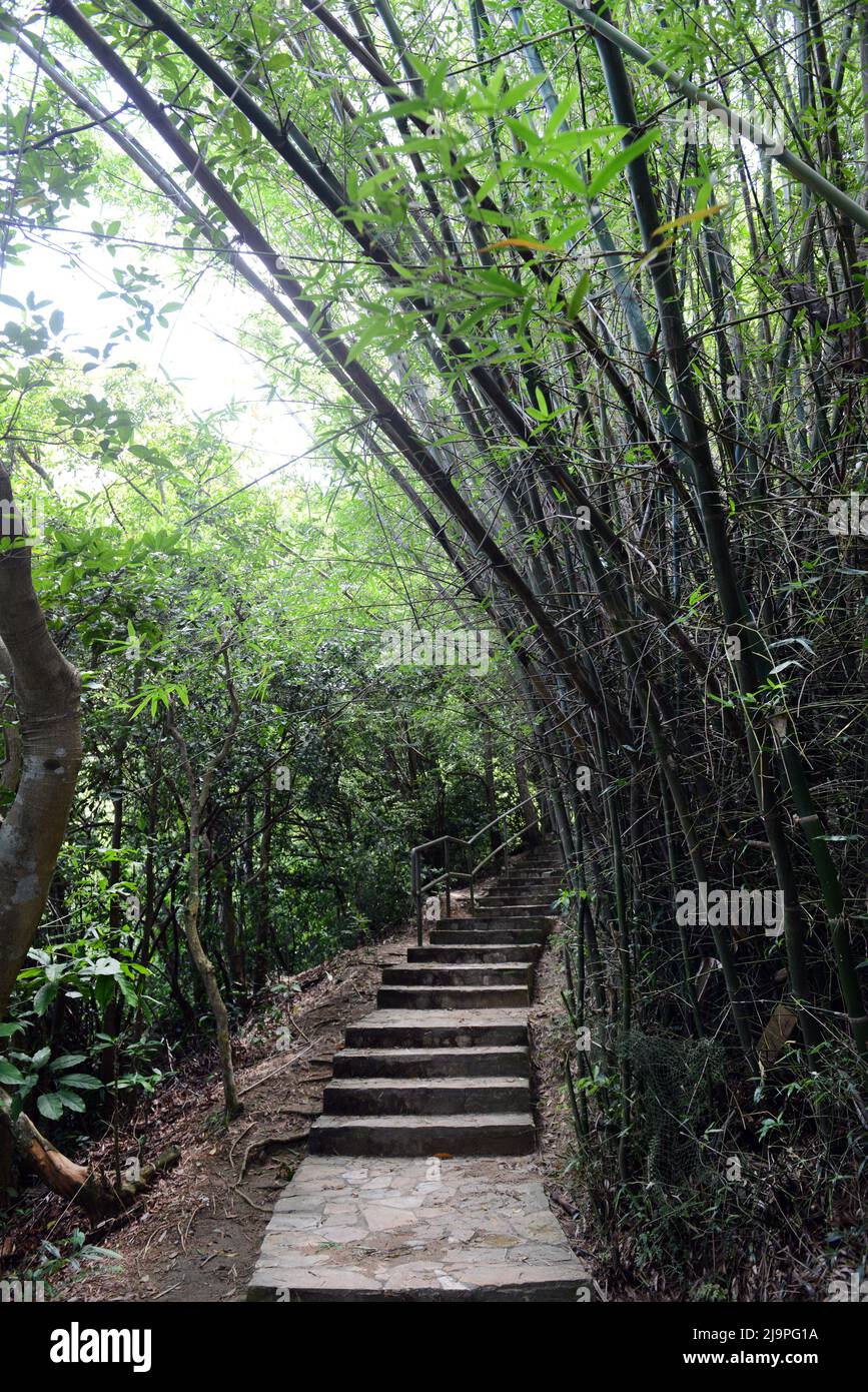 Climbing up Hammer Hill in Kowloon, Hong Kong Stock Photo - Alamy