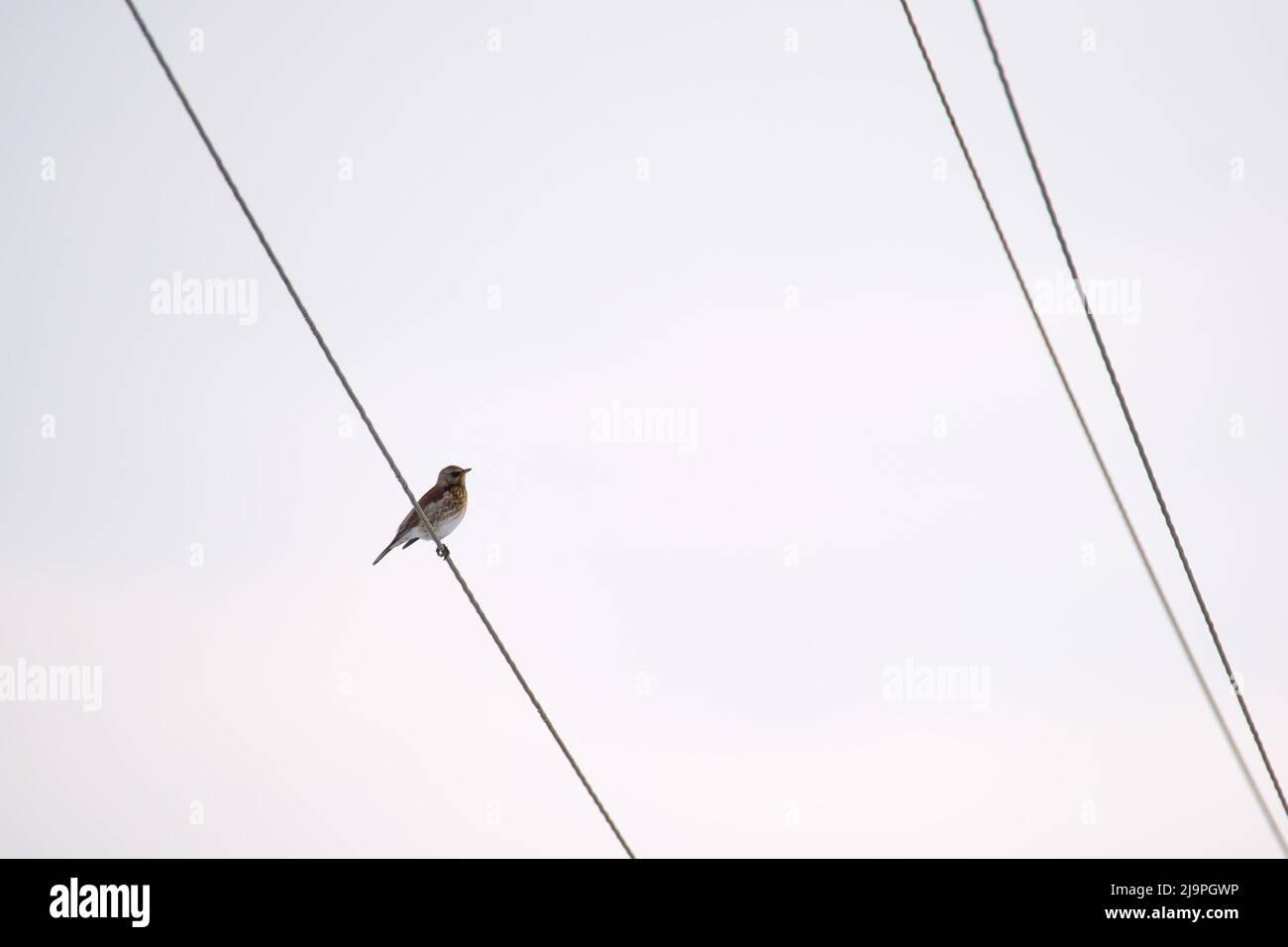 Abandoned electrical tower hi-res stock photography and images - Alamy