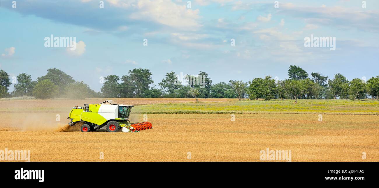 Combine harvester in wheat field Stock Photo - Alamy