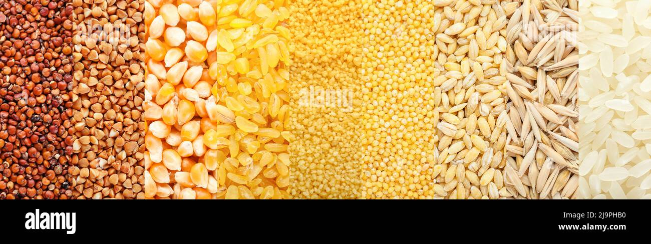 Collection of different cereals, closeup view Stock Photo - Alamy
