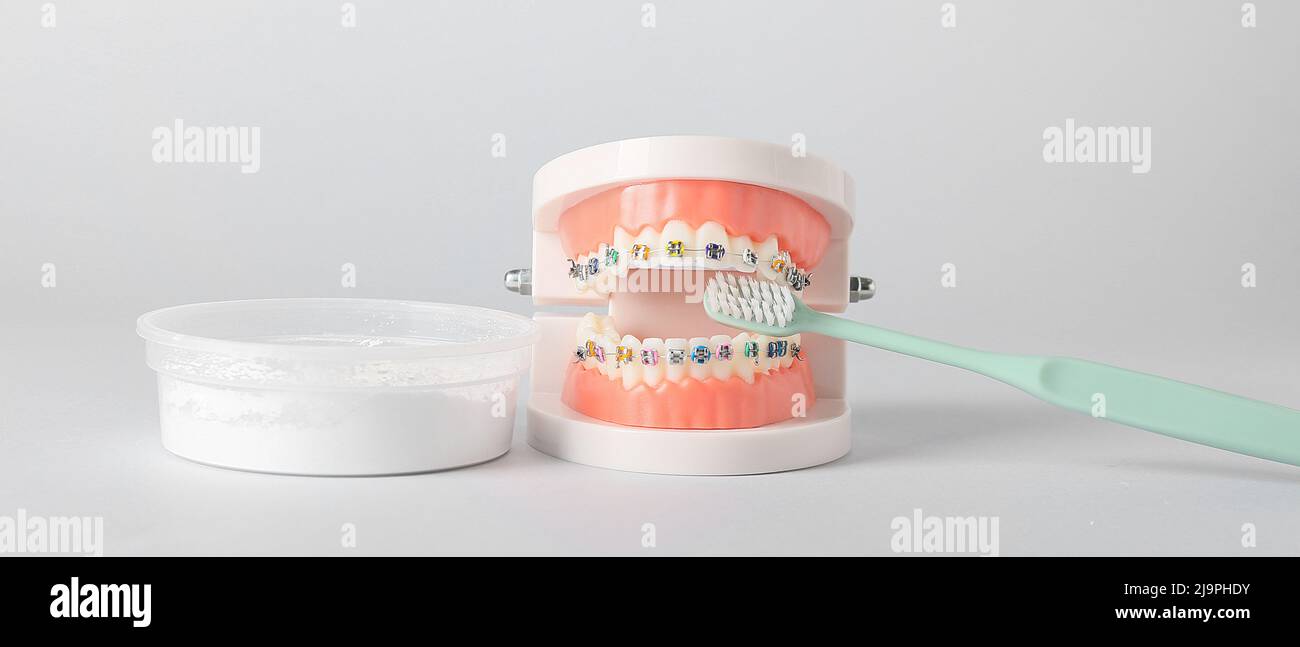Model of jaw with braces, tooth brush and powder on light background ...