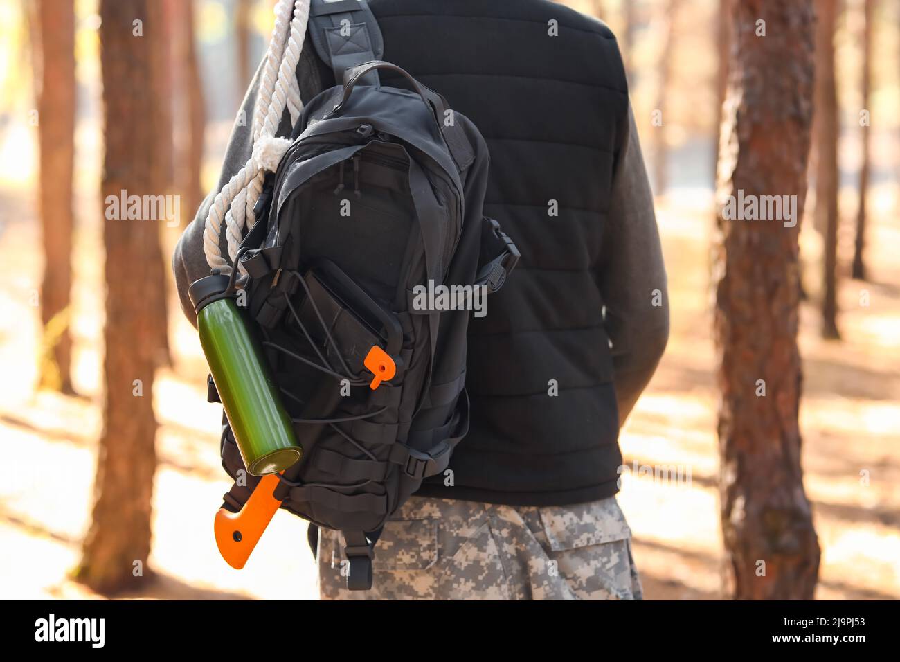 Male tourist with backpack in forest, back view Stock Photo - Alamy