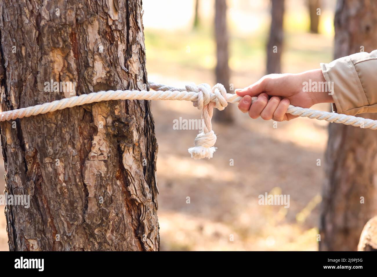 Tying rope tree camping hi-res stock photography and images - Alamy