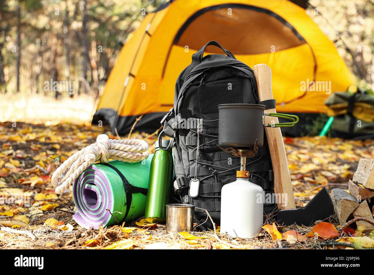 Tourist's survival kit and camping tent in autumn forest Stock Photo ...