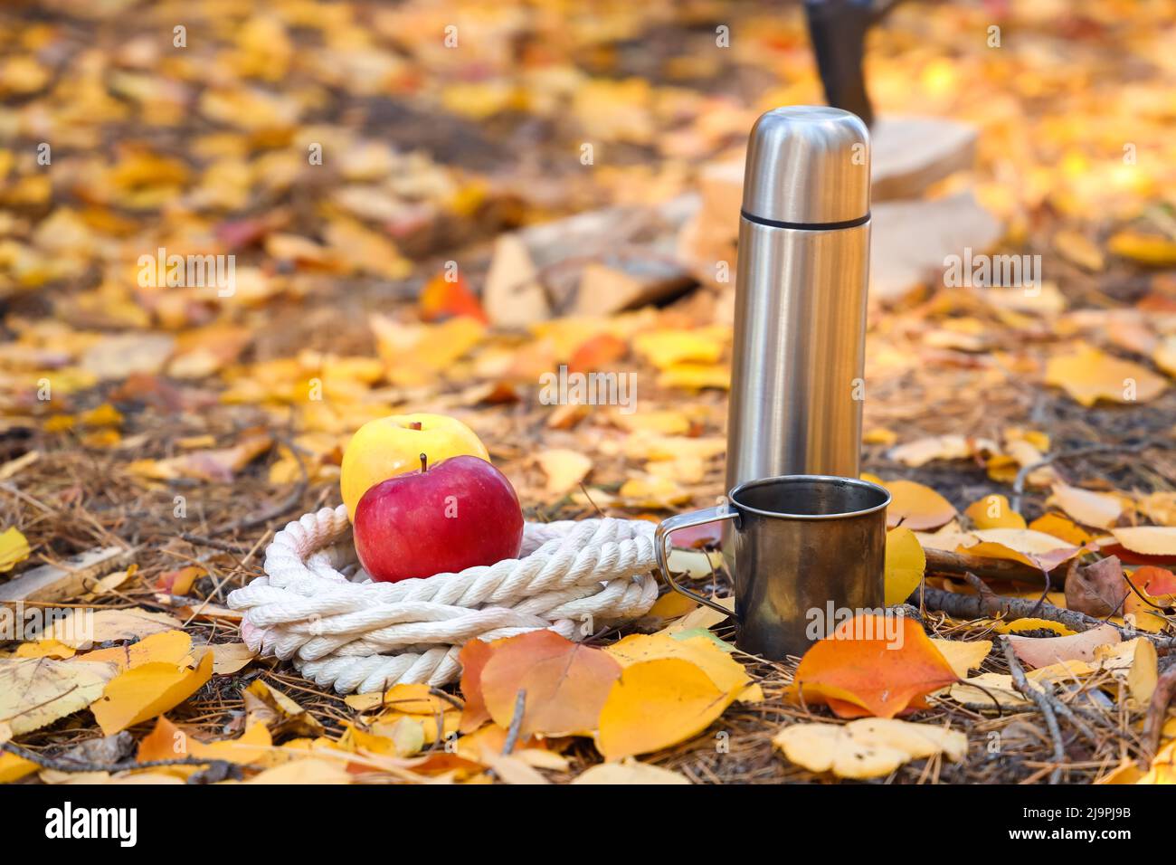 Tourist's thermos, metal mug, rope and apples in autumn forest Stock ...