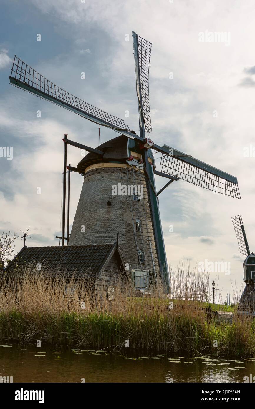 18tj-Century Dutch Windmills dot the rural scene in Kinderdijk ...
