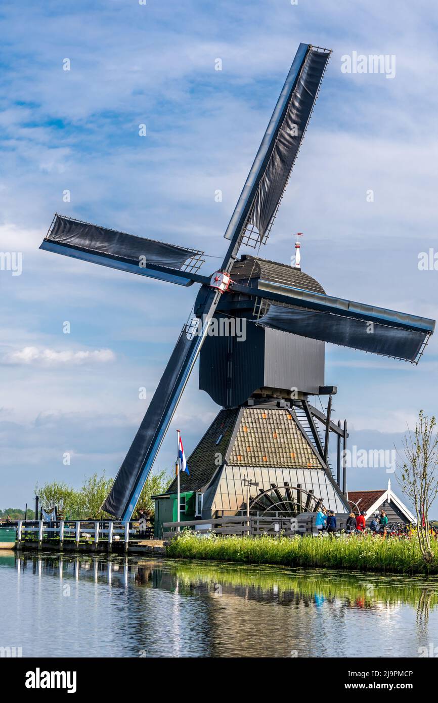 18tj-Century Dutch Windmills dot the rural scene in Kinderdijk ...