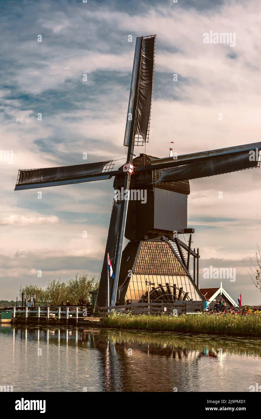 18tj-Century Dutch Windmills dot the rural scene in Kinderdijk ...