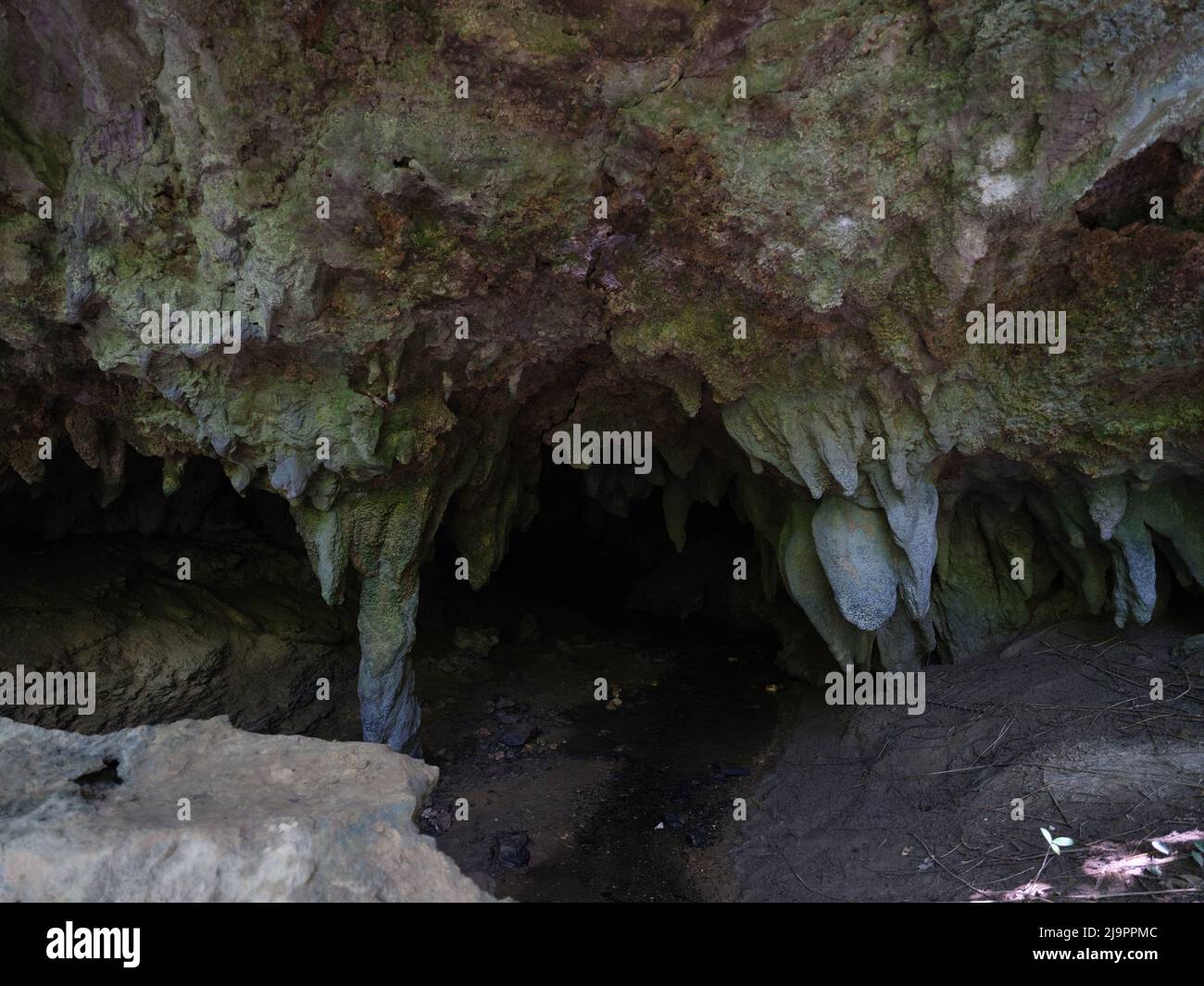Limestone Cave in Iriomote Island, Okinawa Prefecture, Japan Stock ...