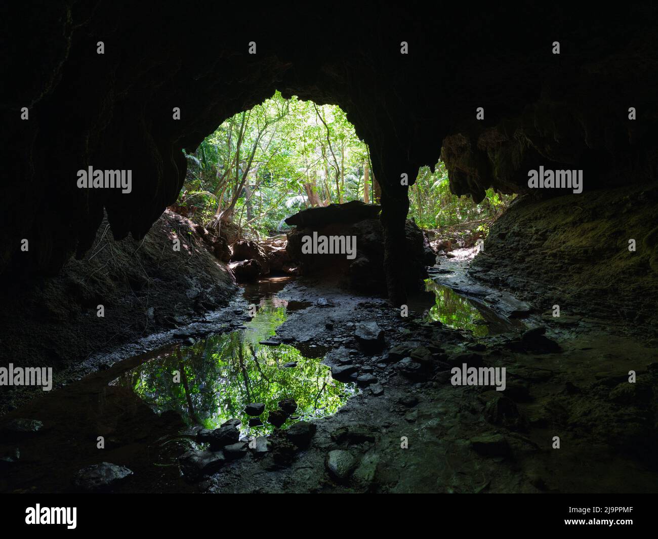 Limestone Cave in Iriomote Island, Okinawa Prefecture, Japan Stock ...