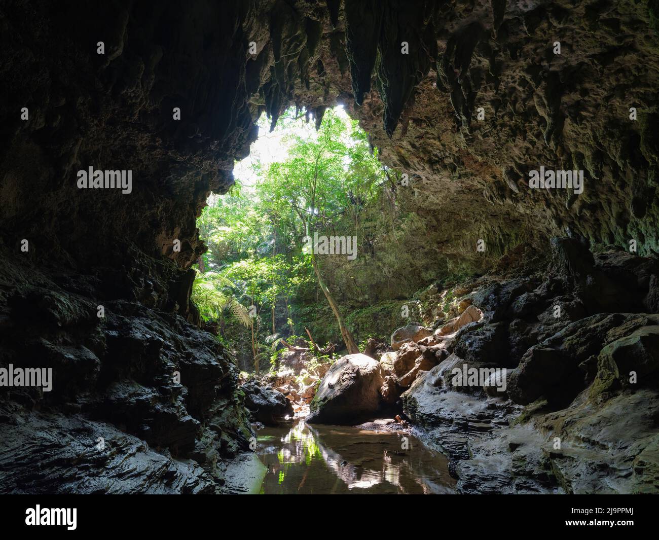 Limestone Cave in Iriomote Island, Okinawa Prefecture, Japan Stock ...