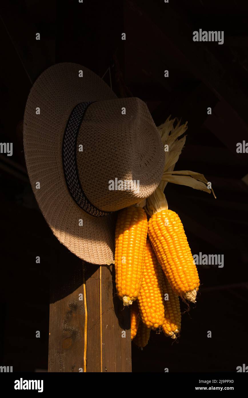 Dried Corn and Straw Hat, Minamiaso Village, Kumamoto Prefecture, Japan ...
