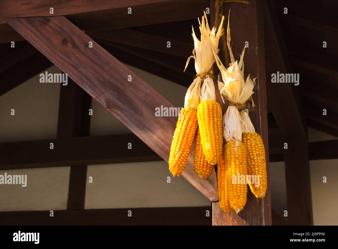 Dried Corn, Minamiaso Village, Kumamoto Prefecture, Japan Stock Photo ...