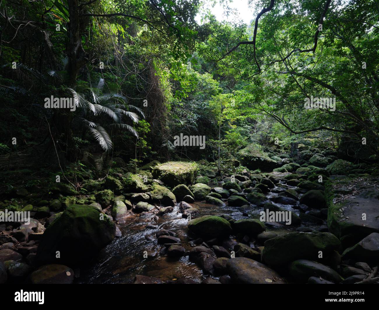 Hinai hi-res stock photography and images - Alamy